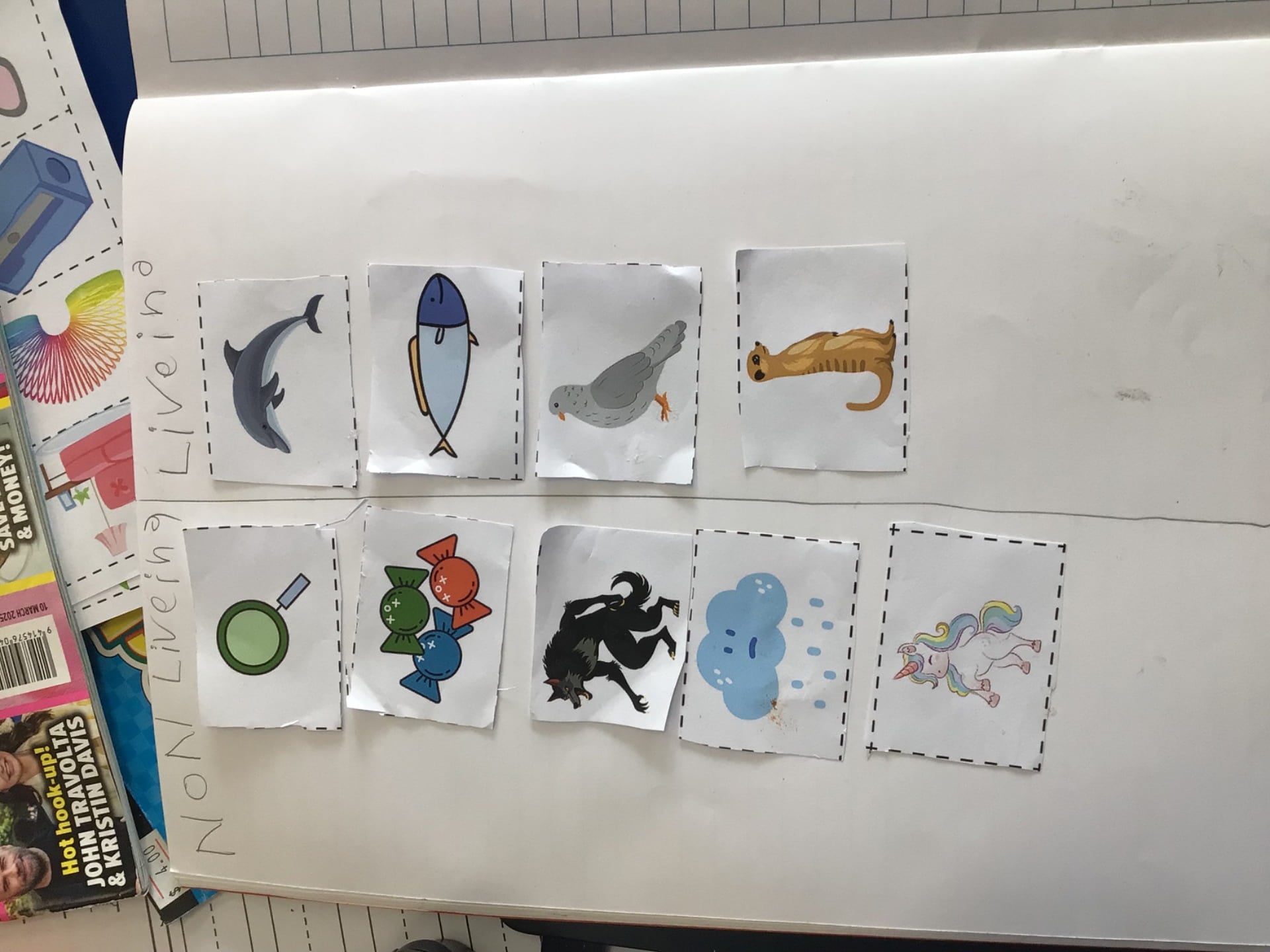 Living and non living things – The Manaiakalani Network Blogging